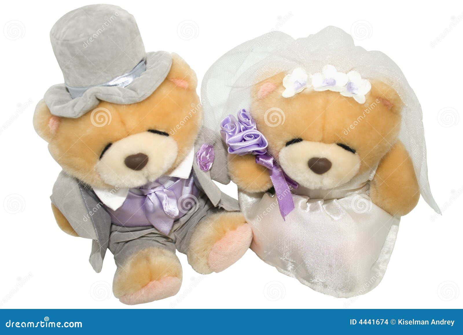 Wedding bears stock photo. Image of beige, bunch, jacket - 4441674