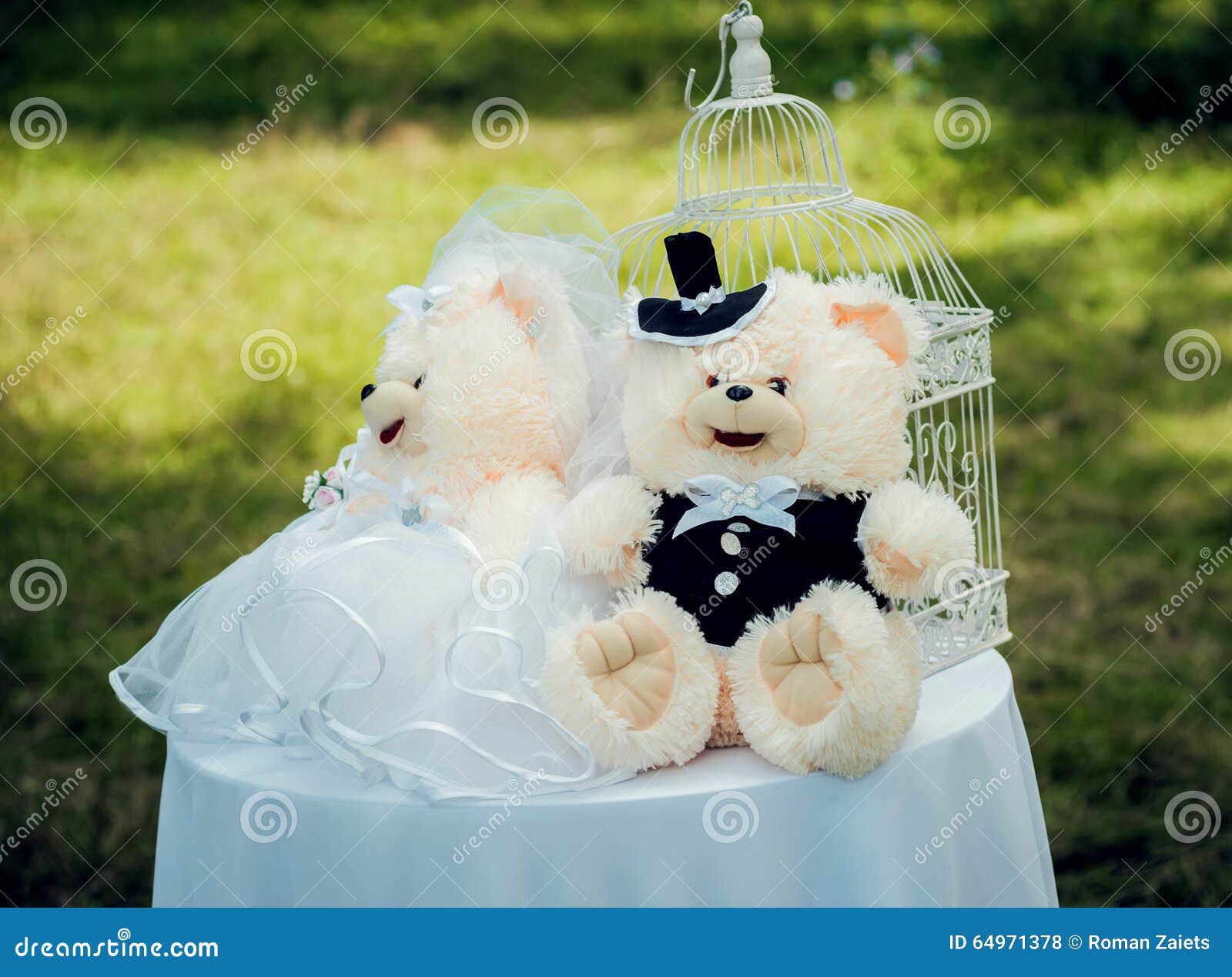 Wedding bears stock photo. Image of dress, ceremony, close - 64971378