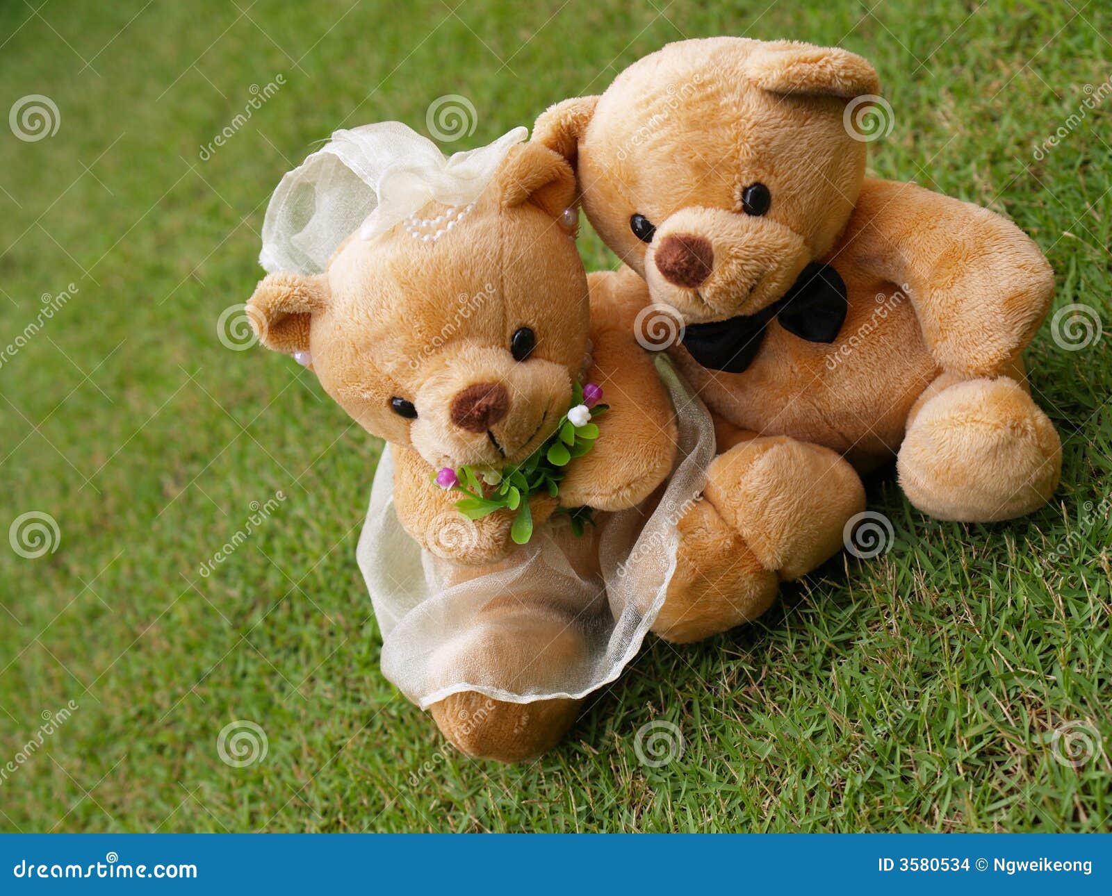 Wedding Bears on the Grass stock photo. Image of gift - 3580534