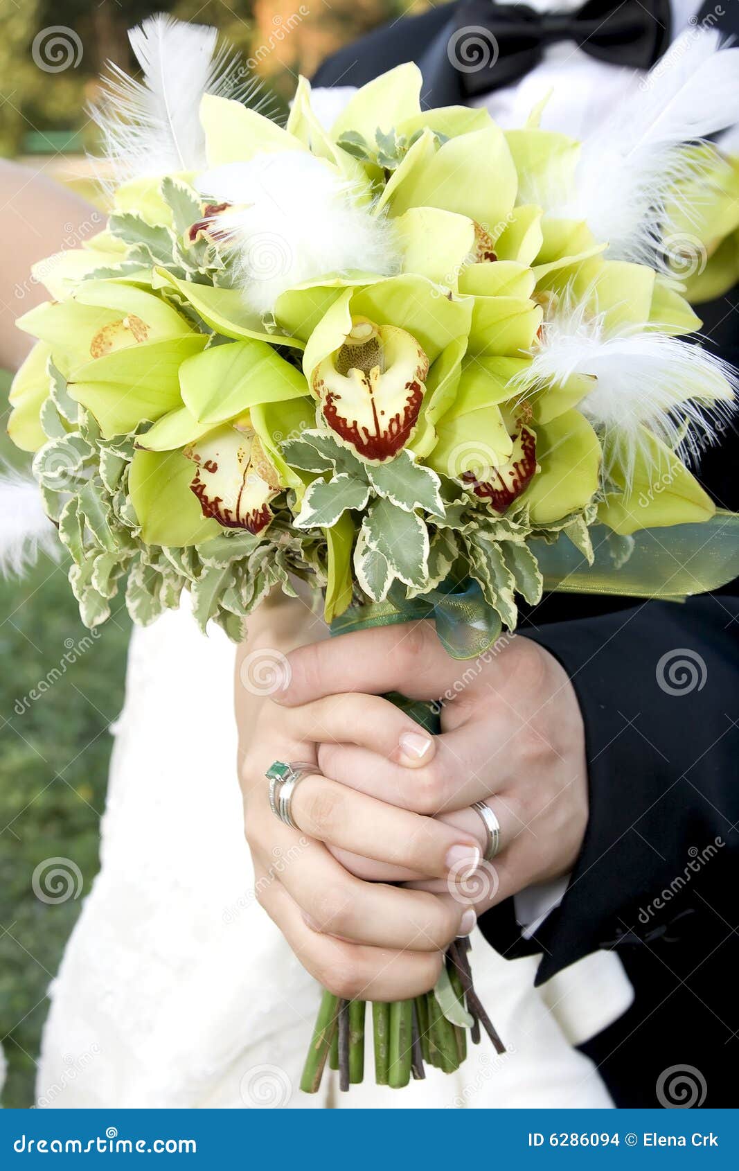 Wedding bouque stock photo. Image of hand, natural, love - 6286094