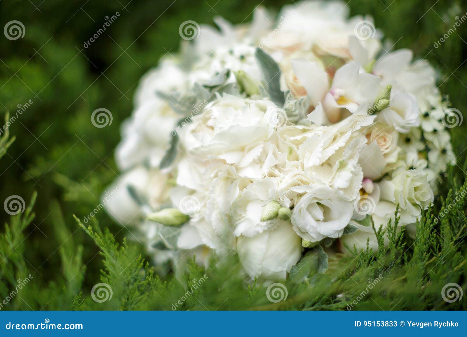 Wedding Bouquet of White Roses and Hydrangeas Stock Image - Image of ...