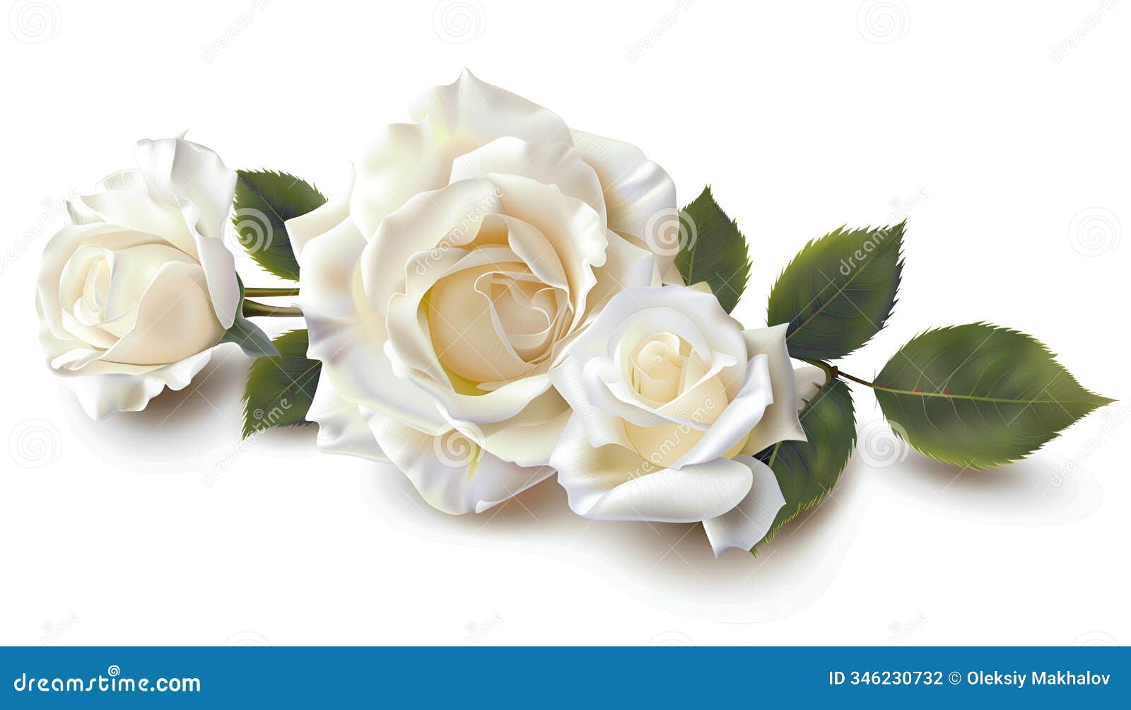 Wedding Bouquet of White Roses on a White Background with Soft Focus ...