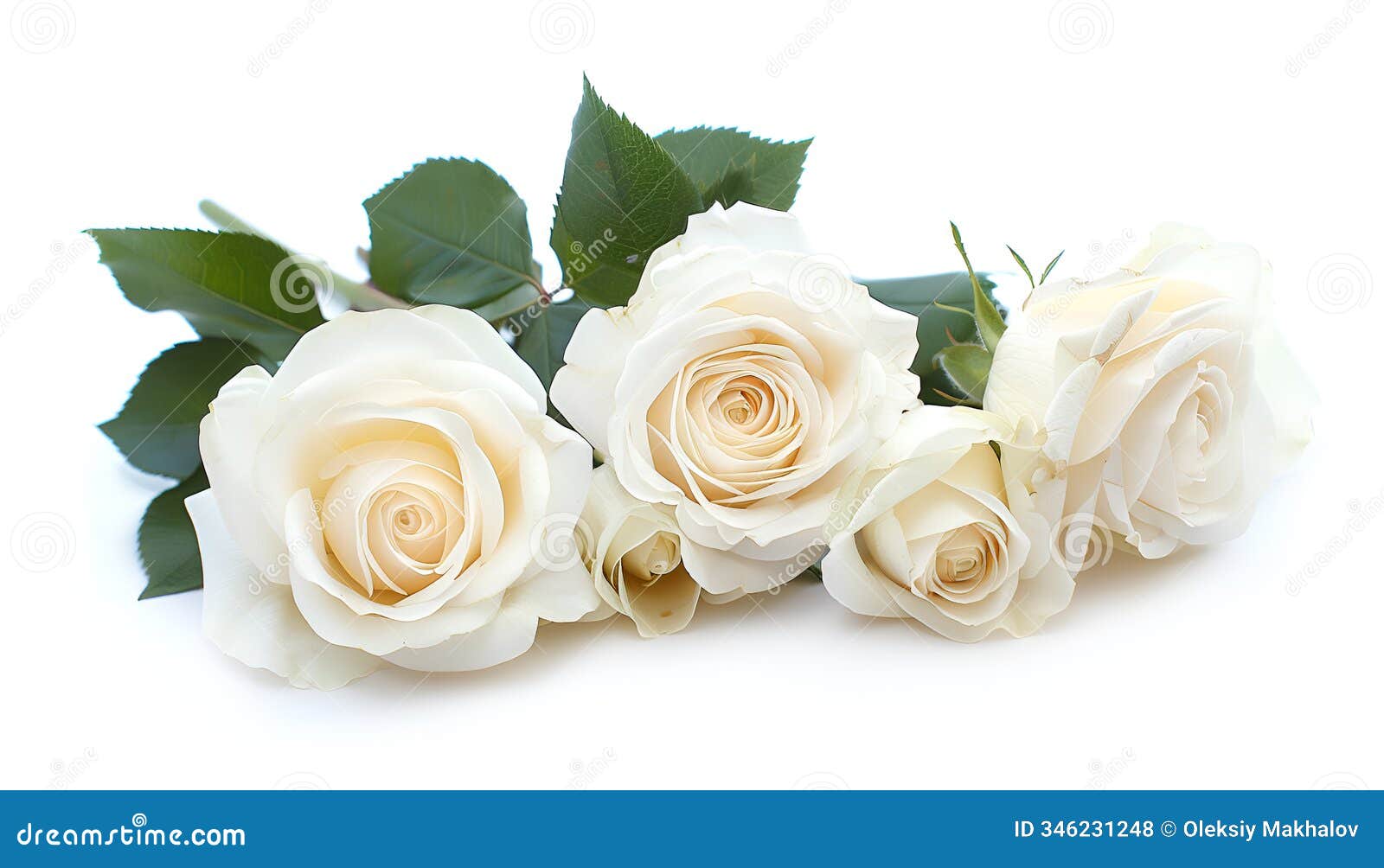 Wedding Bouquet of White Roses on a White Background with Soft Focus ...