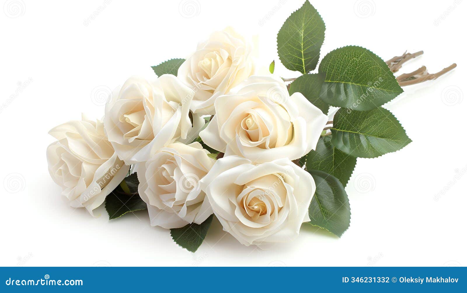 Wedding Bouquet of White Roses on a White Background with Soft Focus ...