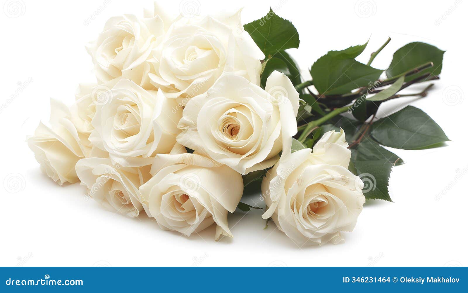 Wedding Bouquet of White Roses on a White Background with Soft Focus ...