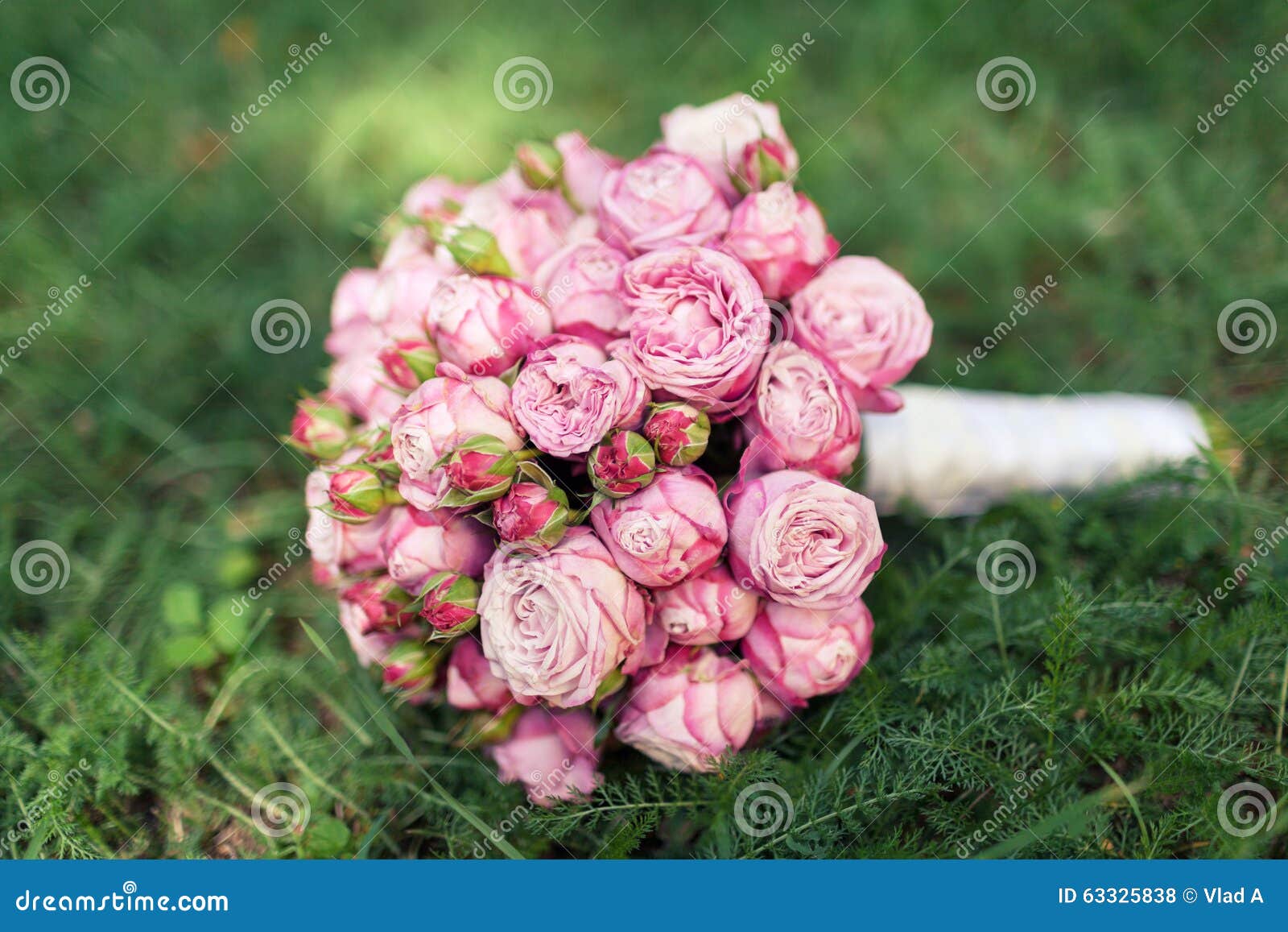 Wedding Bridal Bouquet of Pink Roses Stock Photo - Image of roses ...