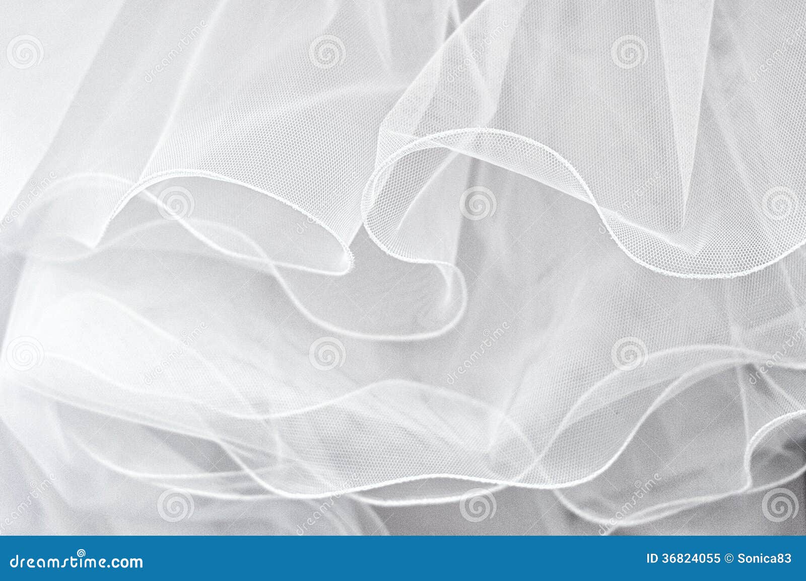 Wedding bridal veil stock image. Image of dress, gown - 36824055