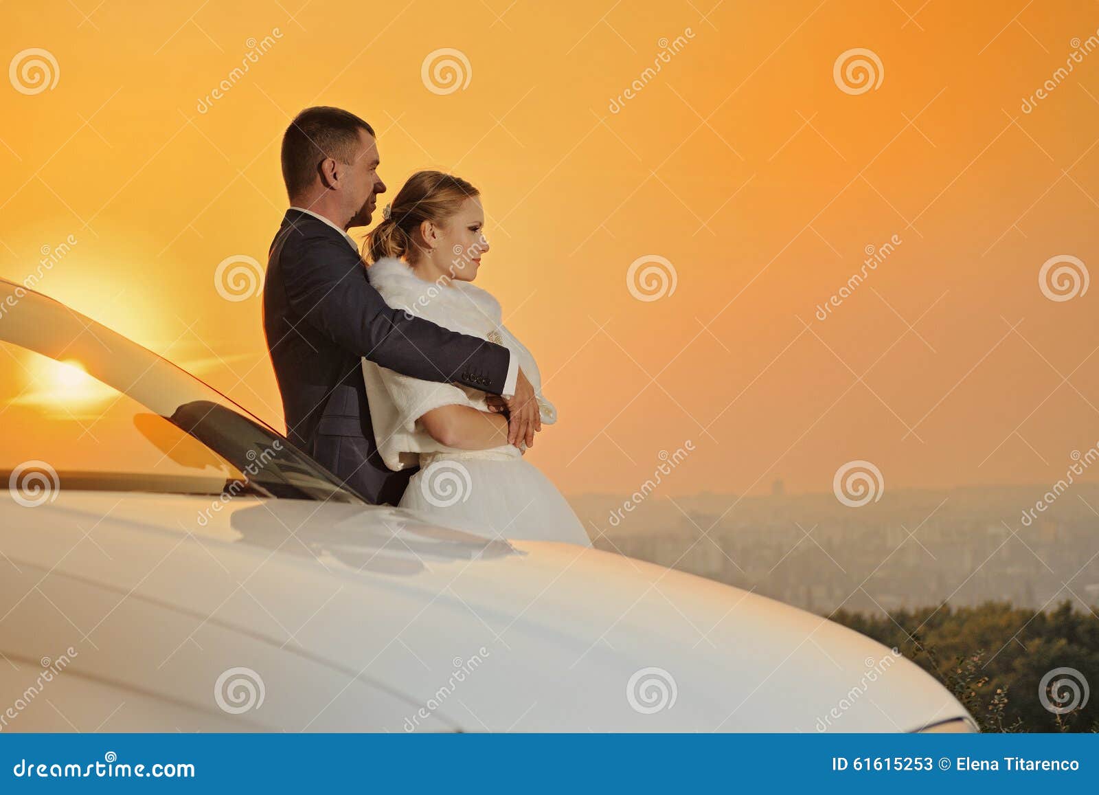 Wedding. Bride and Groom at Sunset Stock Image - Image of newlywed ...
