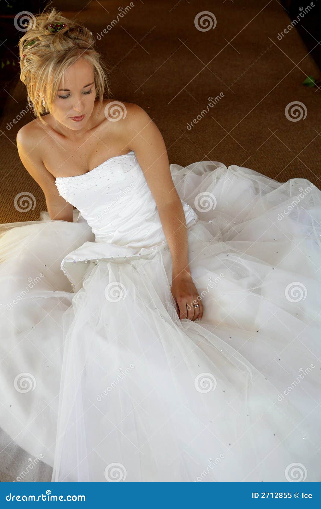 Wedding Bride sitting stock image. Image of beautiful - 2712855