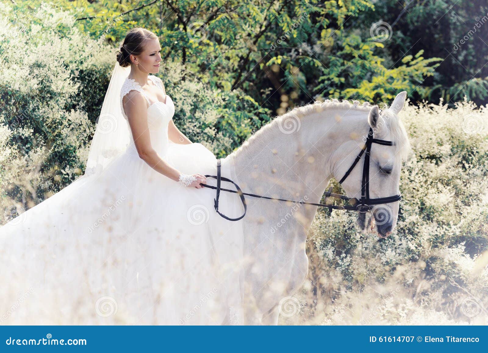Wedding Horse & Carriage Ride Stock Image | CartoonDealer.com #1723915