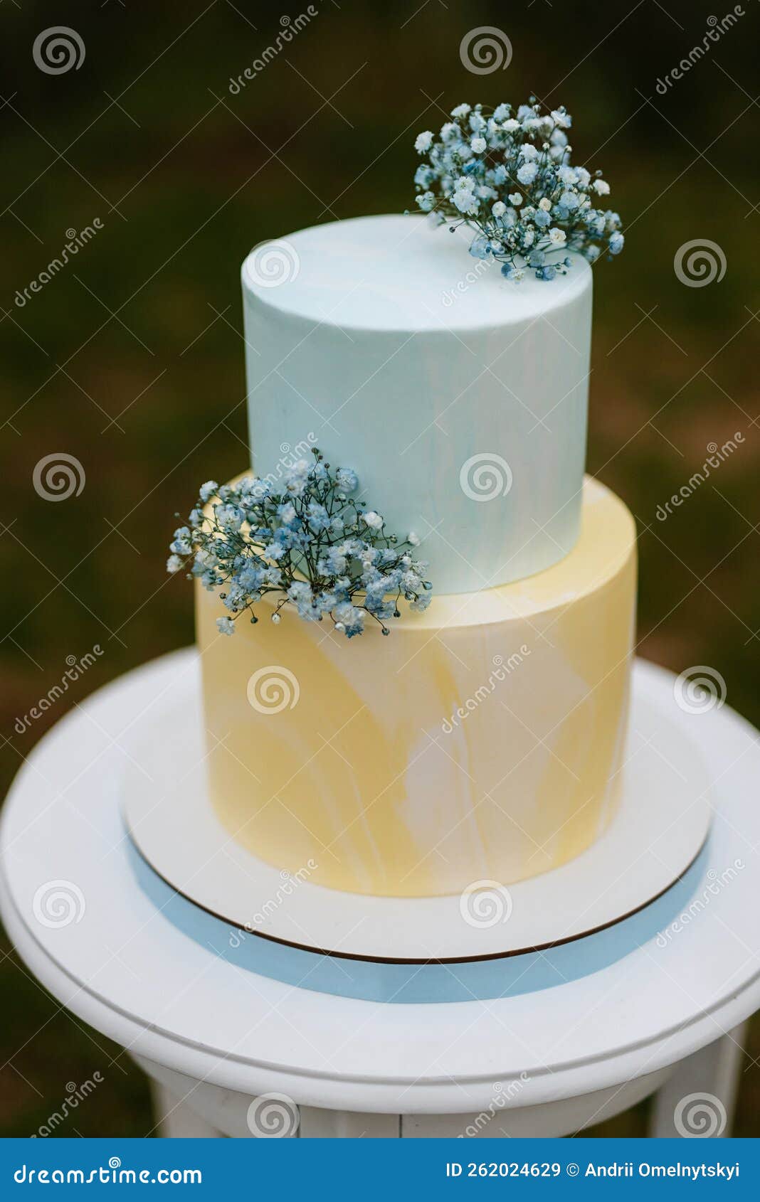 Wedding Cake at the Wedding Stock Image - Image of hand, people: 262024629