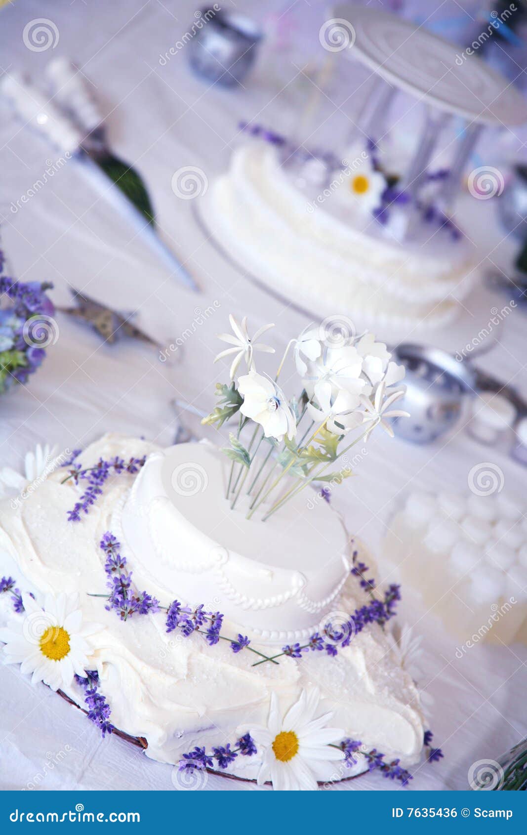 54,692 Cake Still Life Stock Photos - Free & Royalty-Free Stock Photos ...
