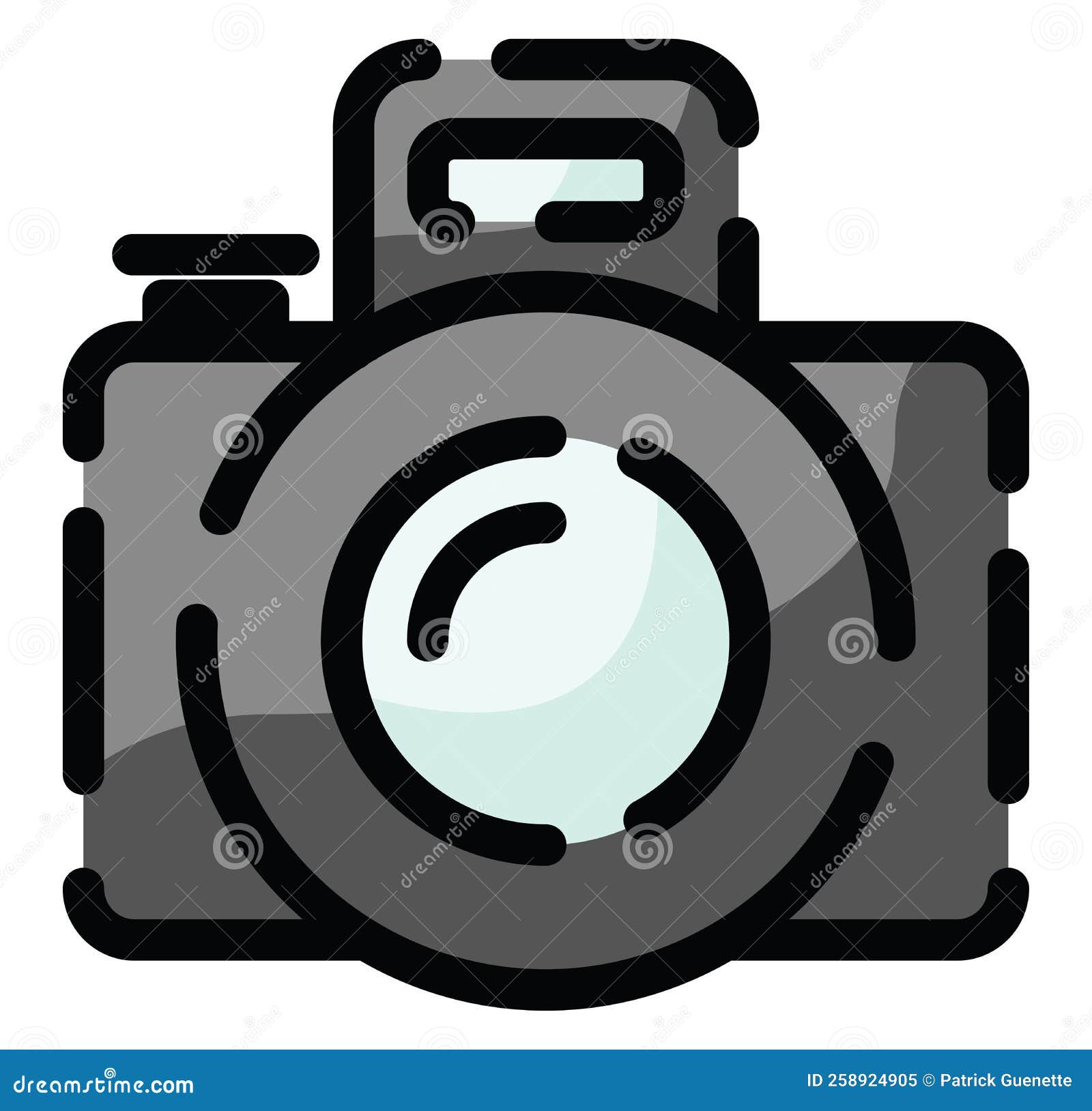 Wedding camera, icon stock vector. Illustration of photographer - 258924905