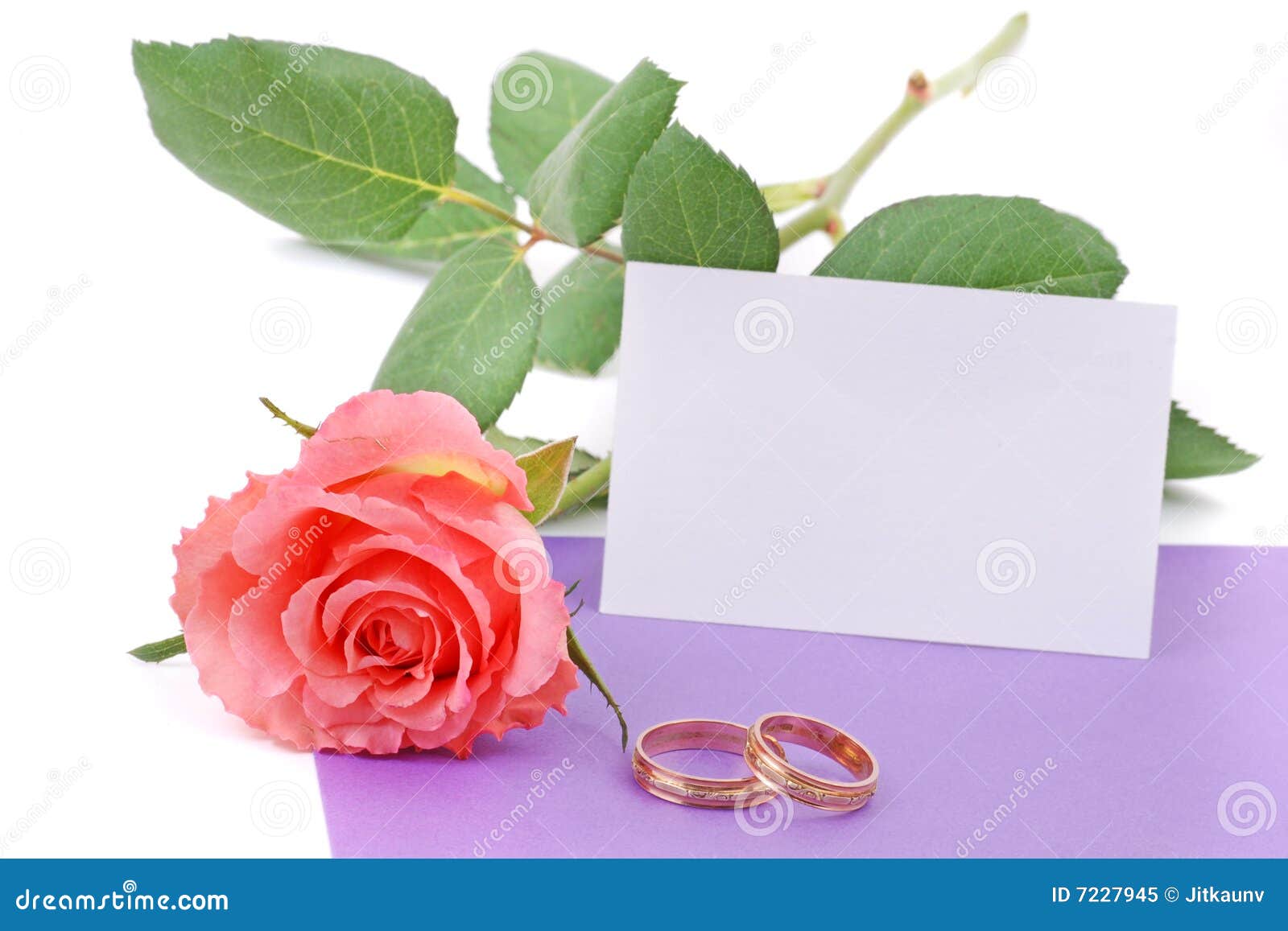 Wedding Card and Rose with Wedding Rings Stock Image - Image of love ...
