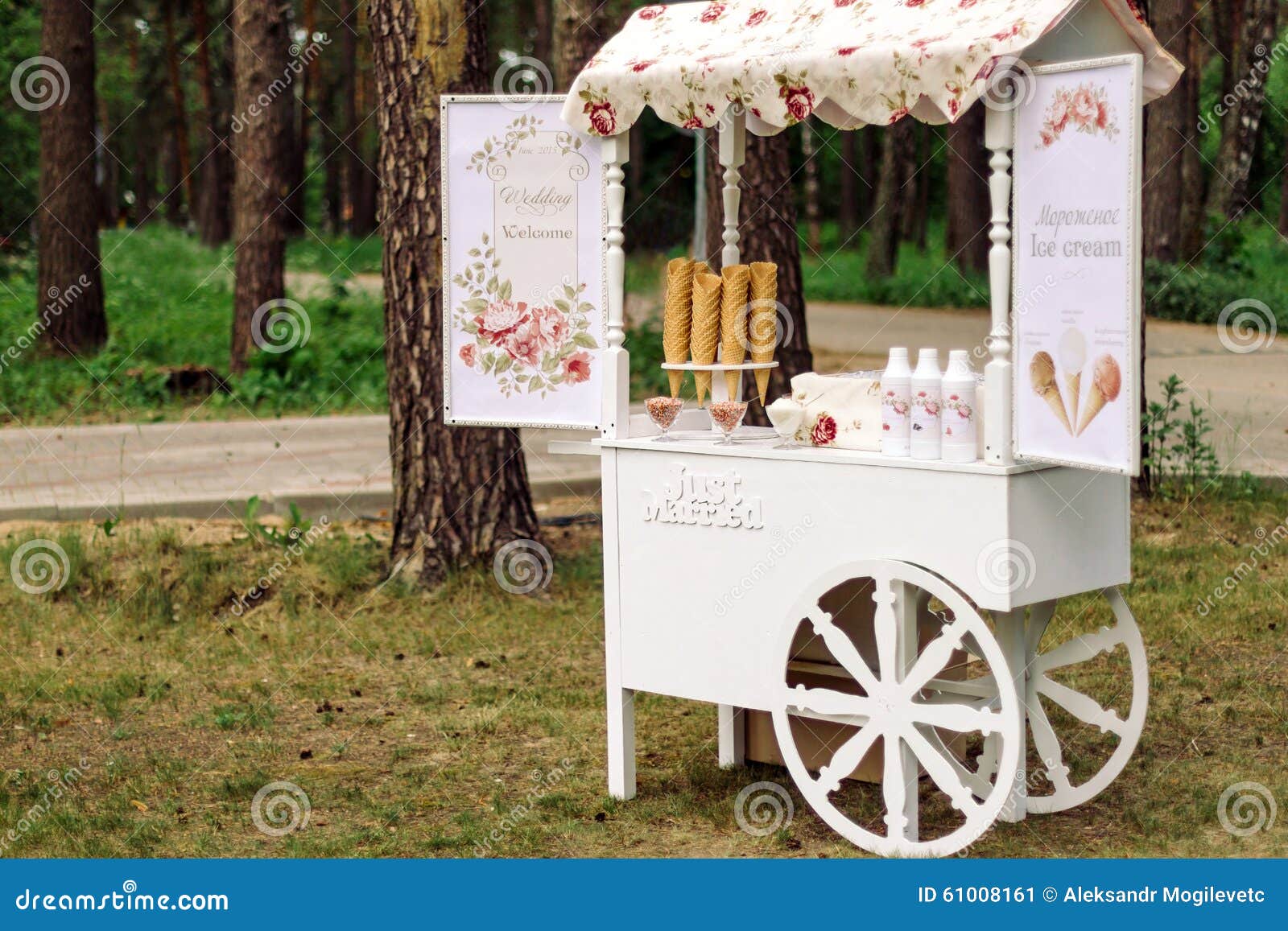 Wedding Cart with Ice Cream Stock Image - Image of double, cone: 61008161