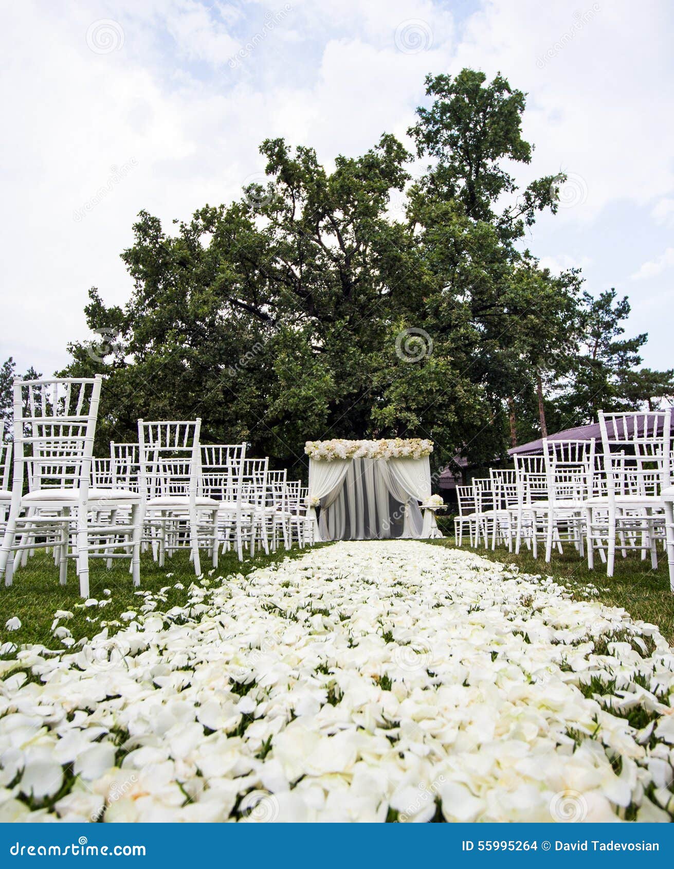 Wedding ceremony stock photo. Image of garden, marriage - 55995264