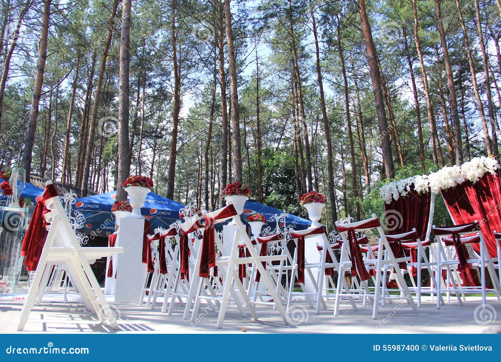 Wedding ceremony in forest editorial image. Image of white - 55987400