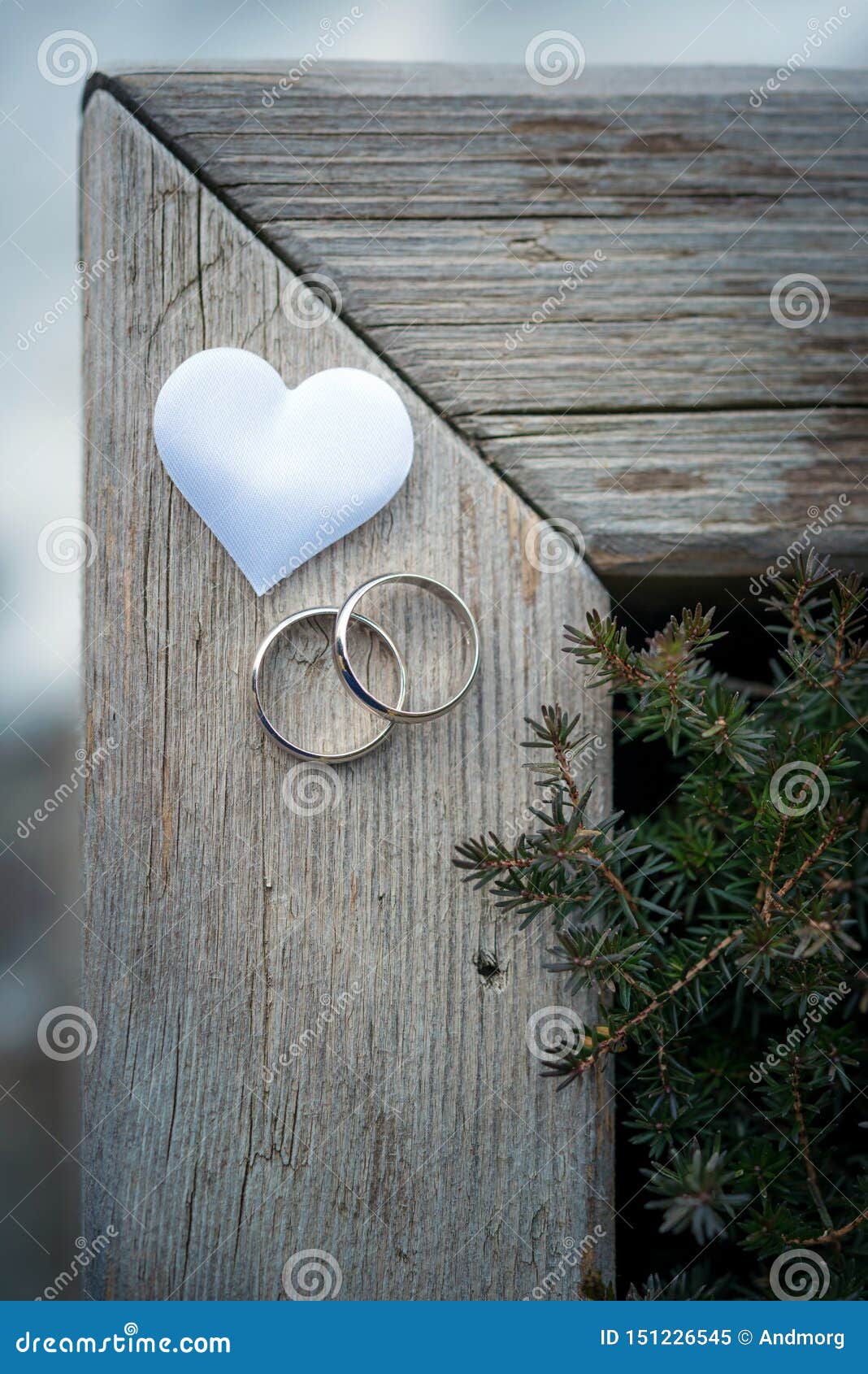 Wedding Rings with Heart on a Frame Stock Image - Image of objects ...