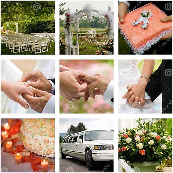 Wedding collage stock photo. Image of holiday, collage - 13673788