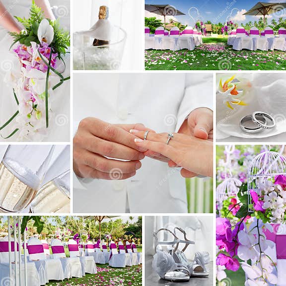 Wedding collage stock photo. Image of flower, anniversary - 22441422