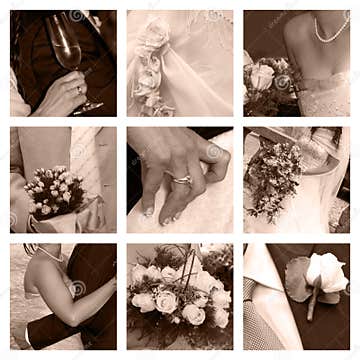Wedding collage stock photo. Image of decorations, bride - 8003486