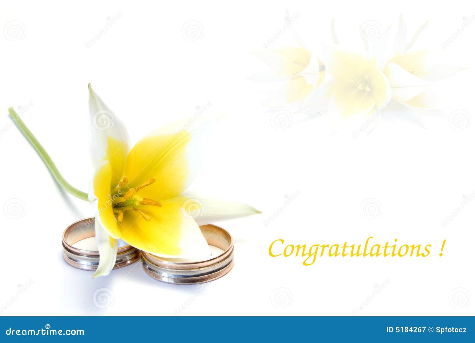 Wedding congratulations stock image. Image of cheerful - 5184267