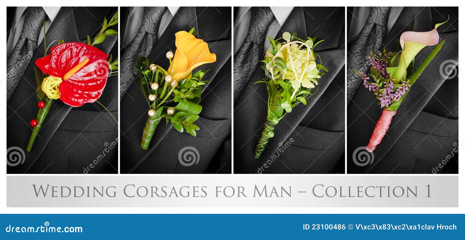 Wedding corsages for man stock photo. Image of bridal - 23100486