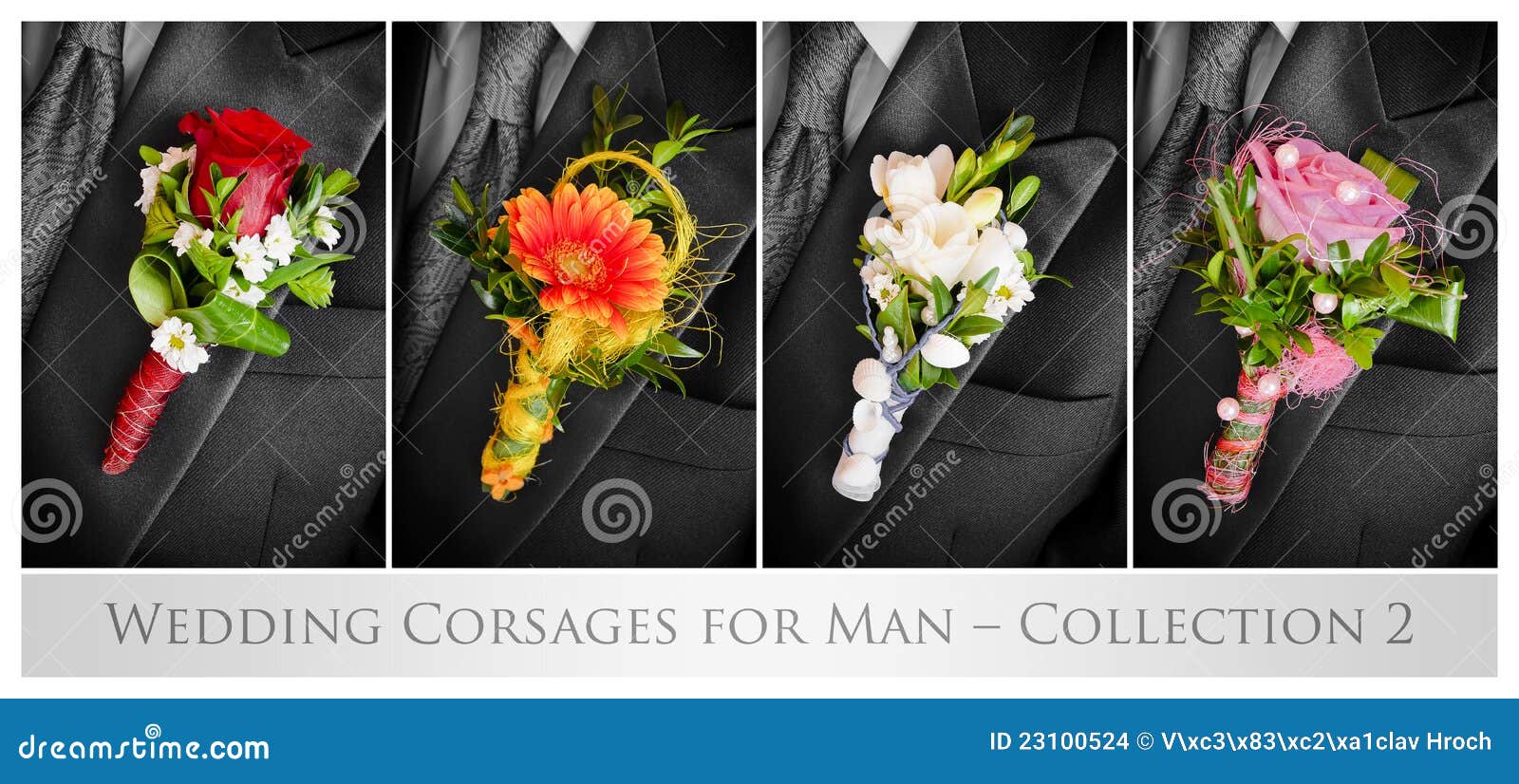 Wedding corsages for man stock photo. Image of jacket - 23100524