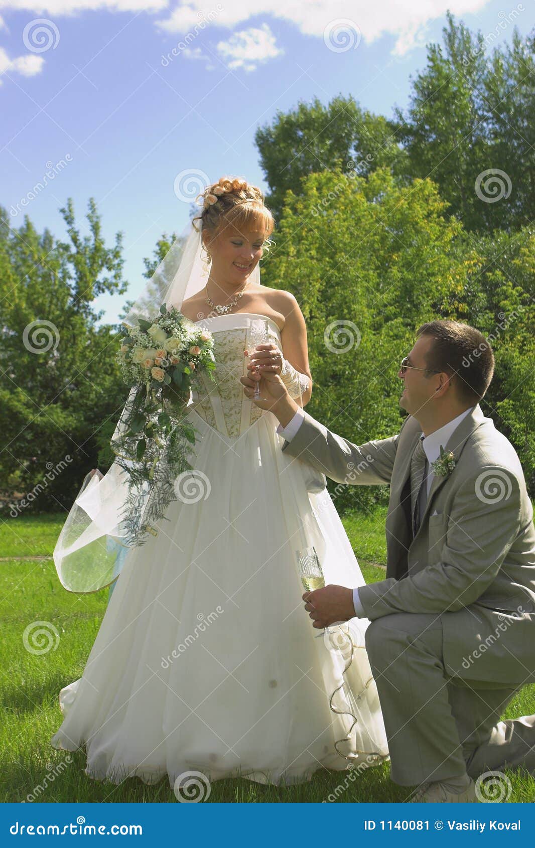 Wedding couple stock image. Image of female, fashion, appealing - 1140081