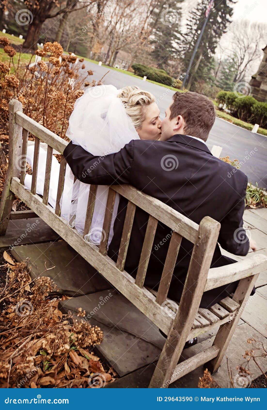 Wedding couple on bench stock photo. Image of autumn - 29643590