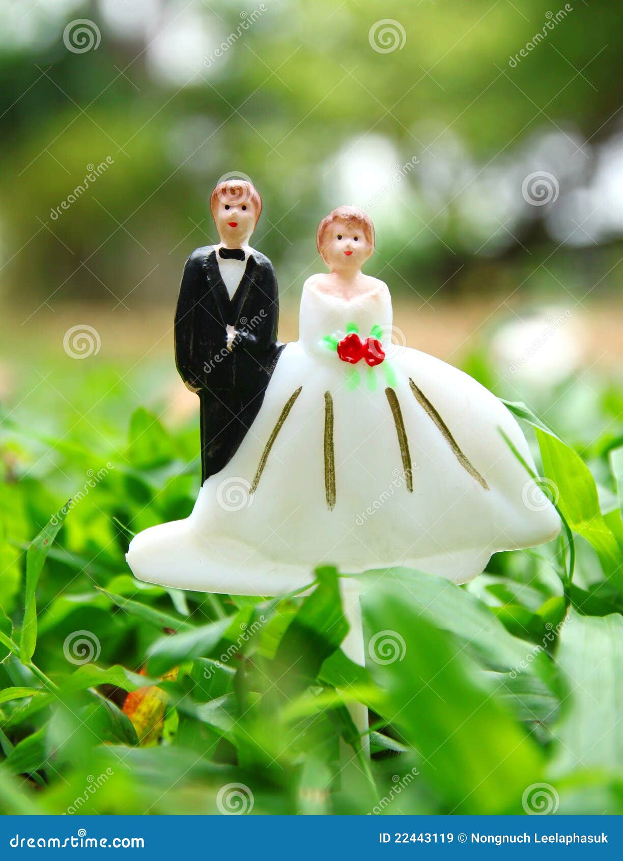 The Ground Of The Field Full Of Anthill From Which The Ants Leave And ...