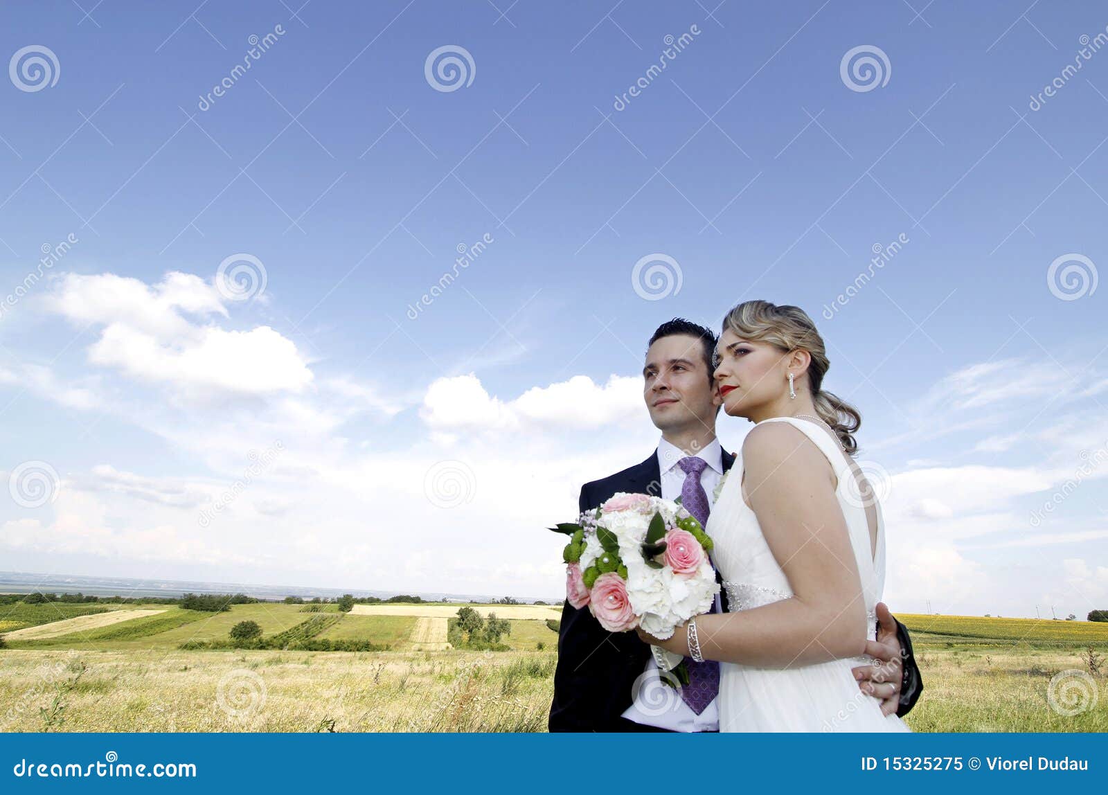 Wedding Couple on the Field Stock Image - Image of happiness, field ...