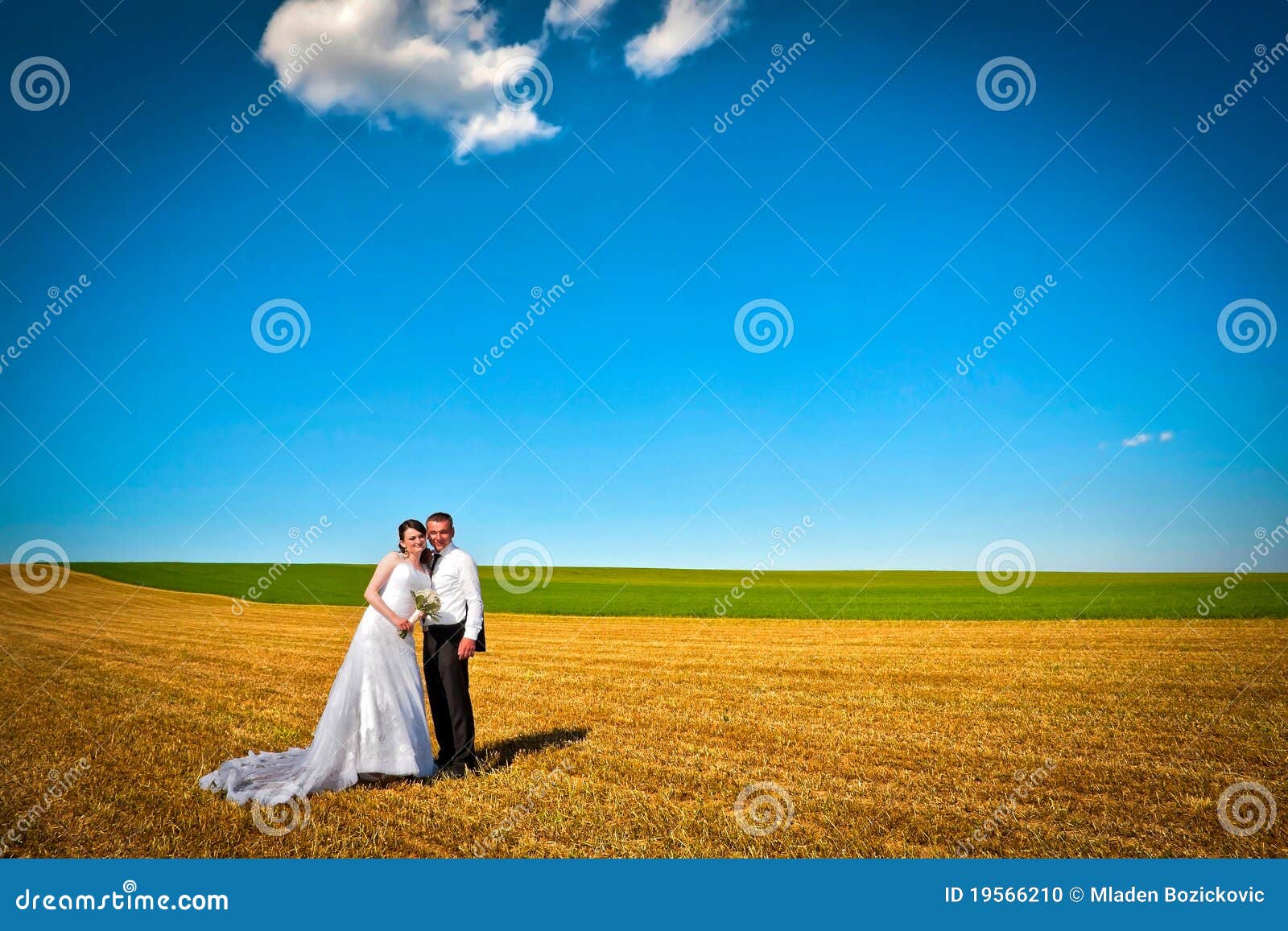 Wedding Couple in the Field Stock Photo - Image of clouds, male: 19566210
