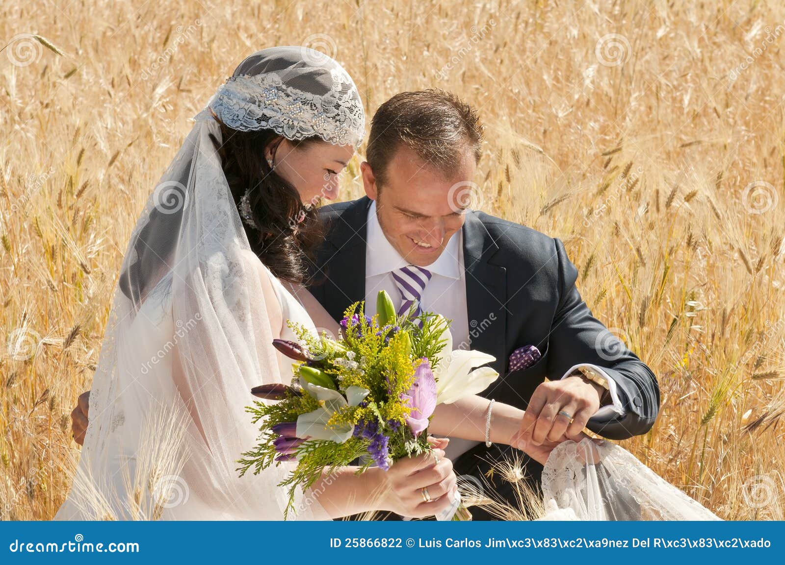 Wedding Couple in the Field Stock Photo - Image of married, behavior ...