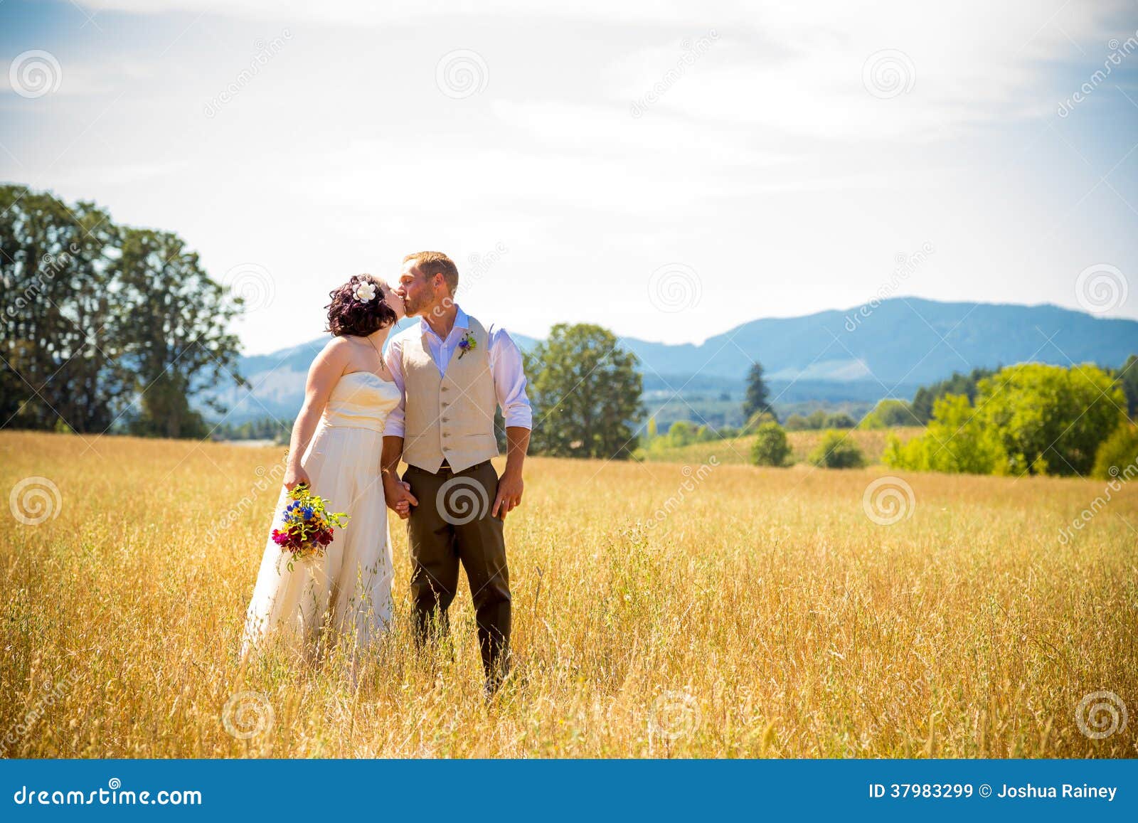 Field Relational Stock Photos - Free & Royalty-Free Stock Photos from ...