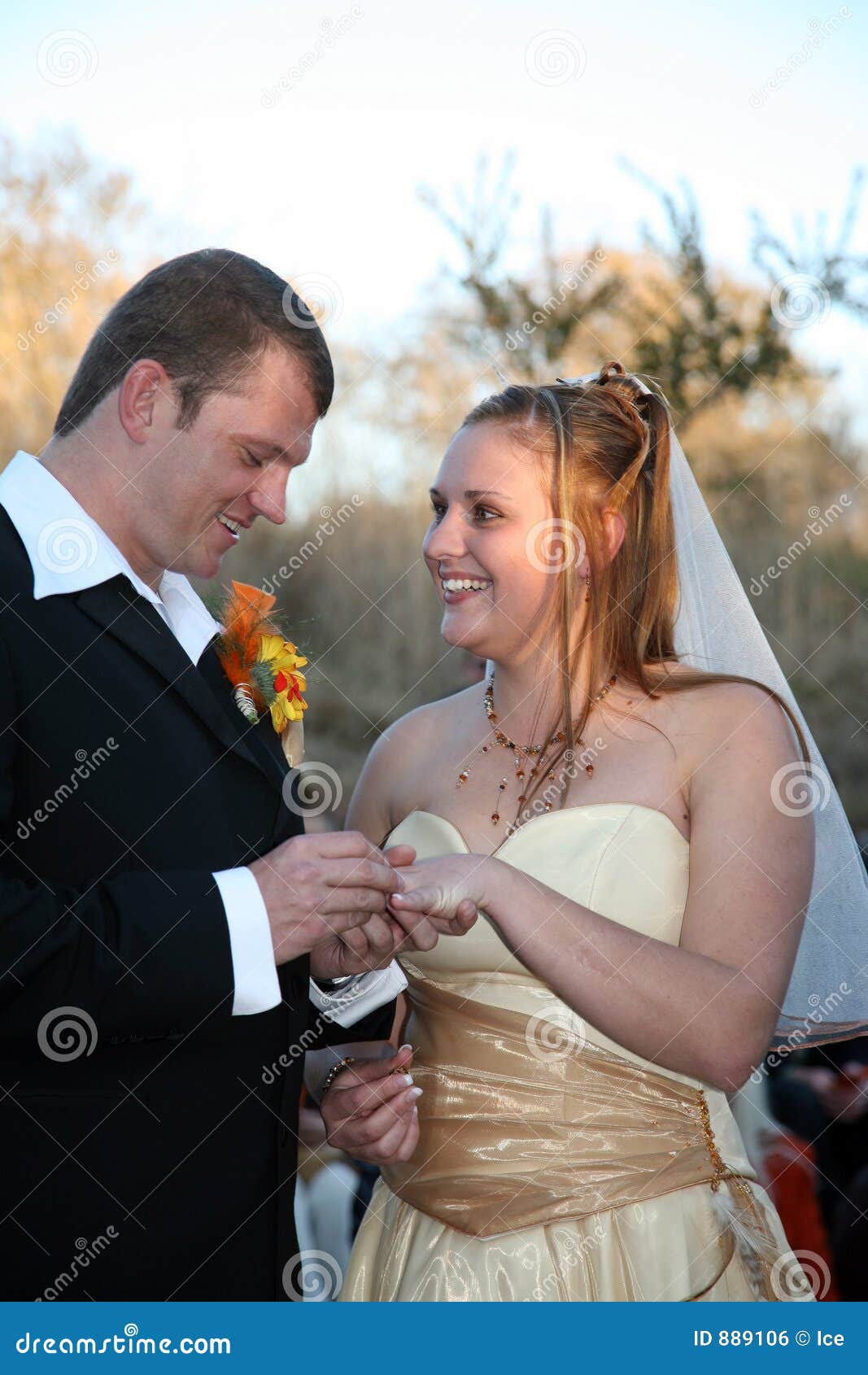 Wedding Couple: I do! stock photo. Image of gown, face - 889106