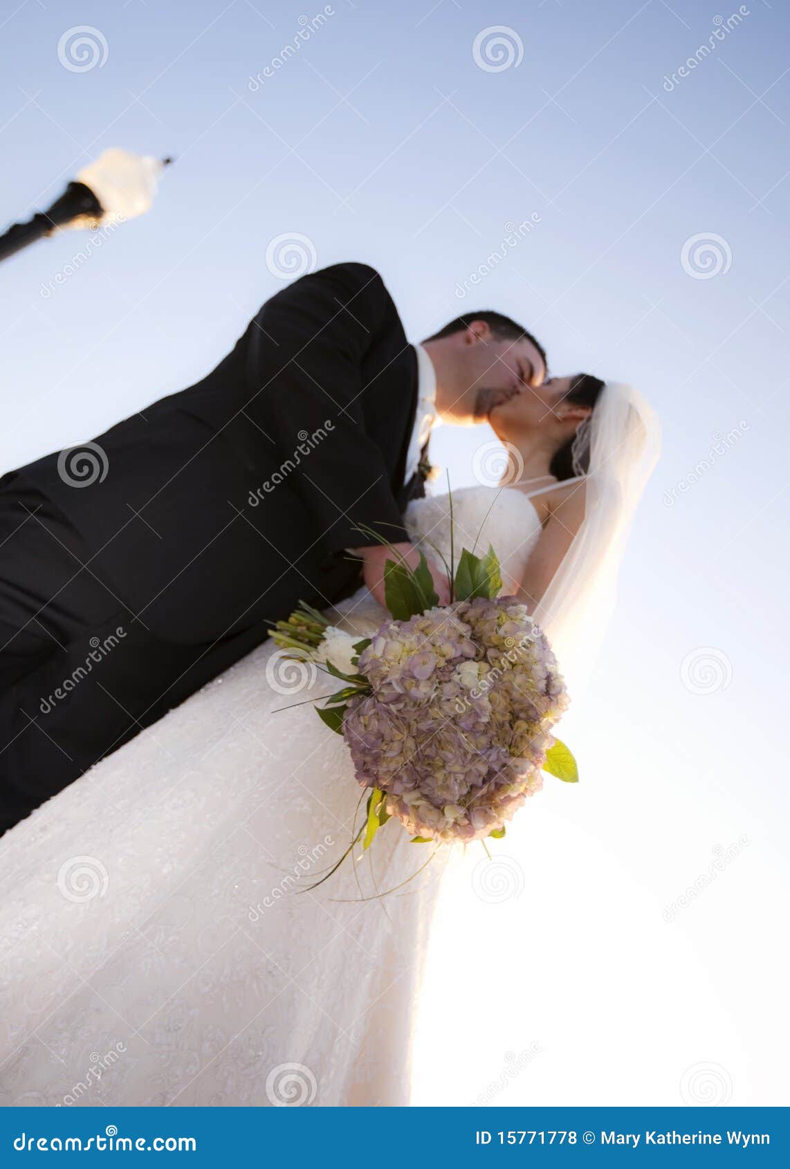 Wedding couple kissing stock photo. Image of female, holds - 15771778