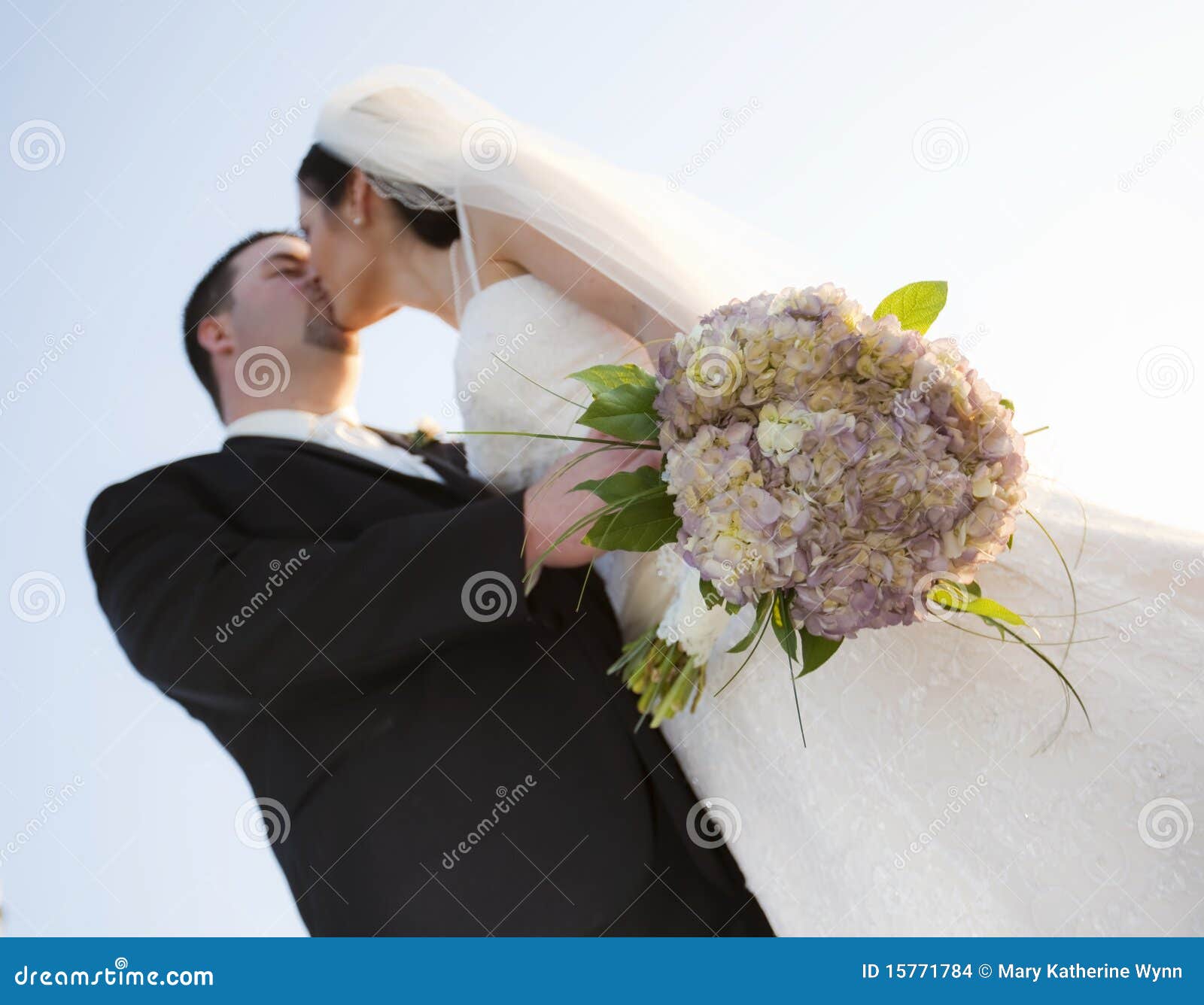 Wedding couple kissing stock photo. Image of holds, black - 15771784
