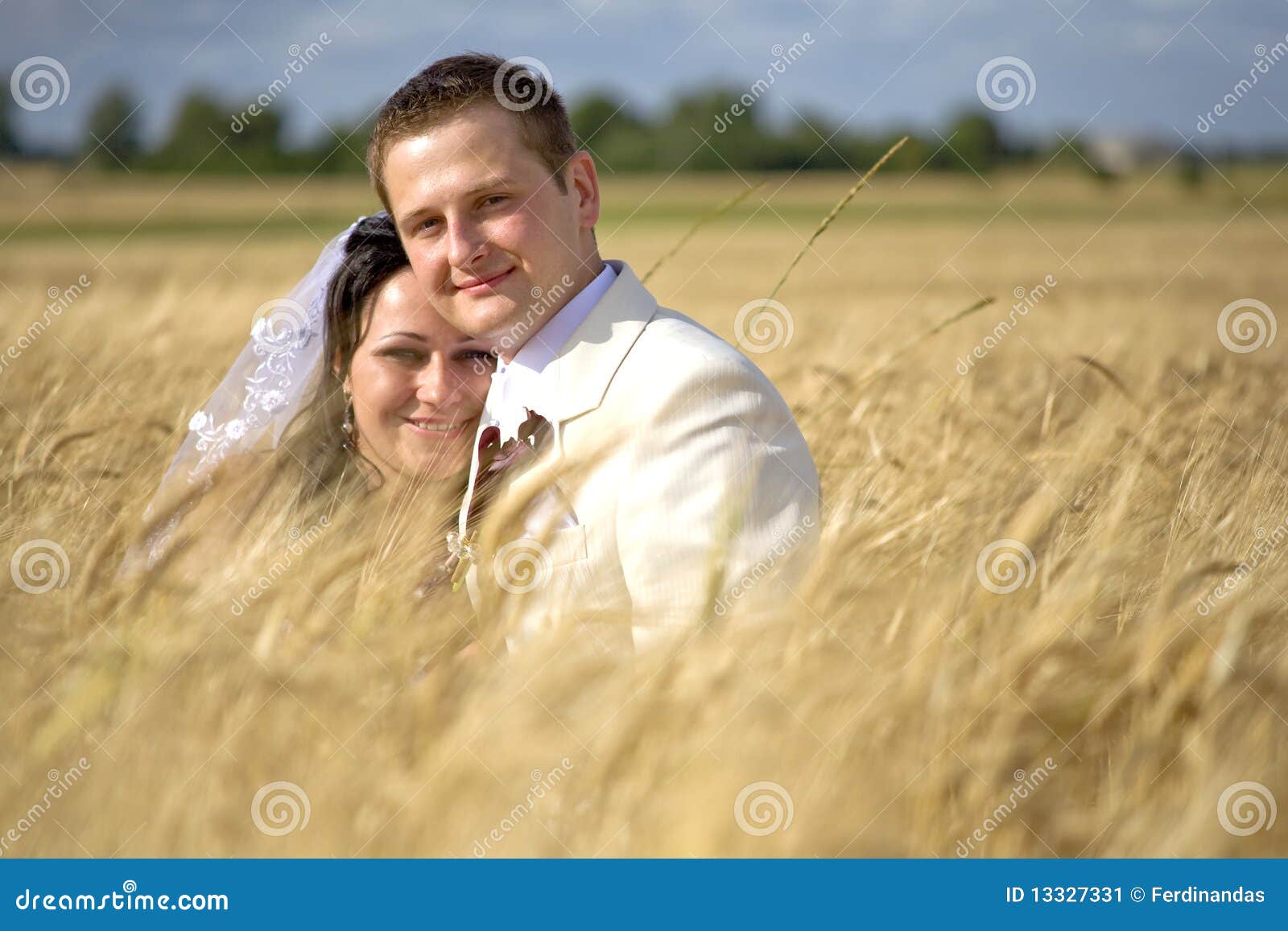 Wedding Couple among Rye Fertility Stock Image - Image of healthy, blue ...