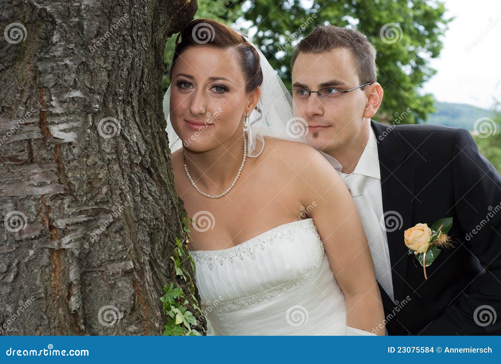 Wedding Couple with tree stock photo. Image of bride - 23075584