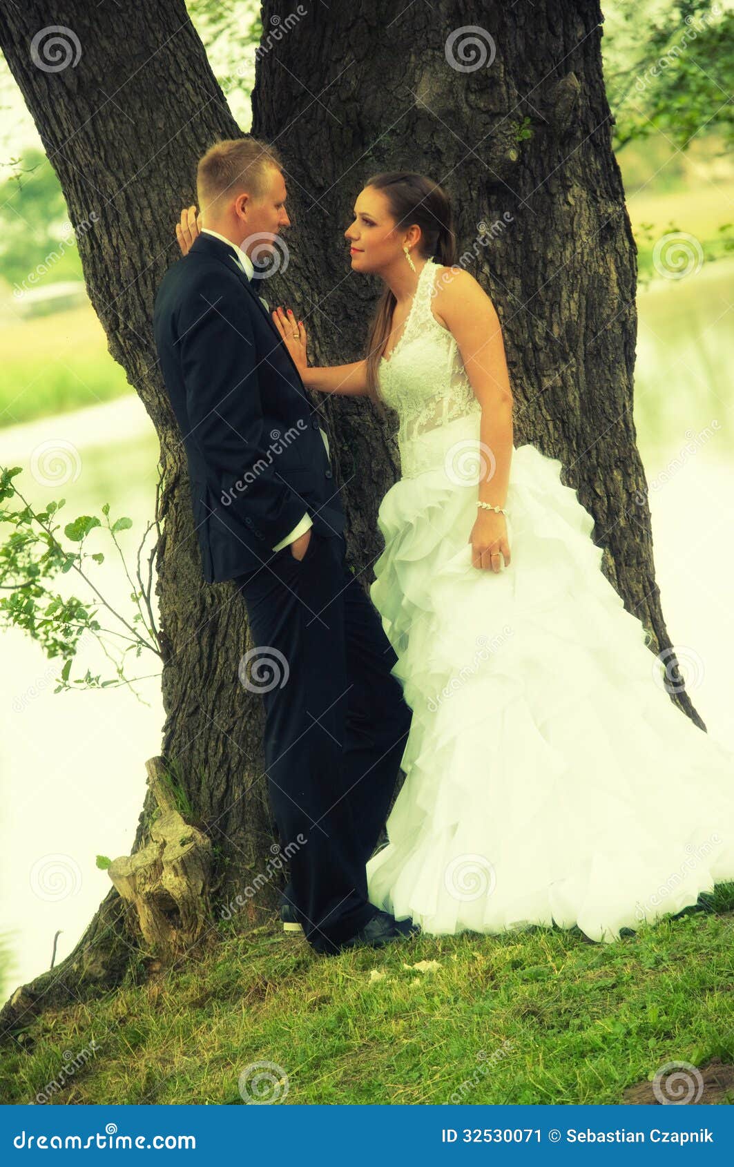 Wedding couple on tree stock image. Image of wedding - 32530071
