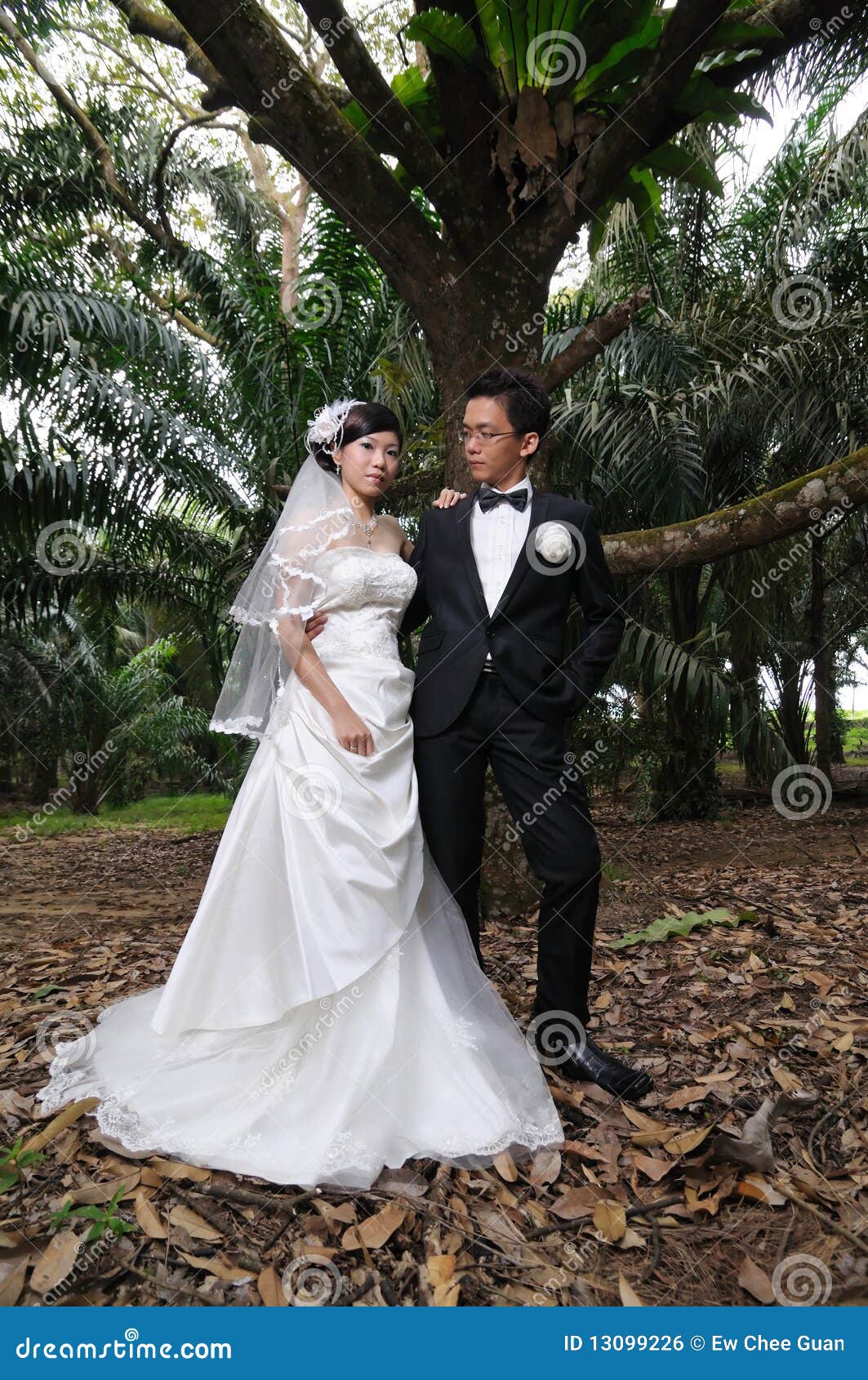 Wedding couples stock photo. Image of beautiful, romantic - 13099226