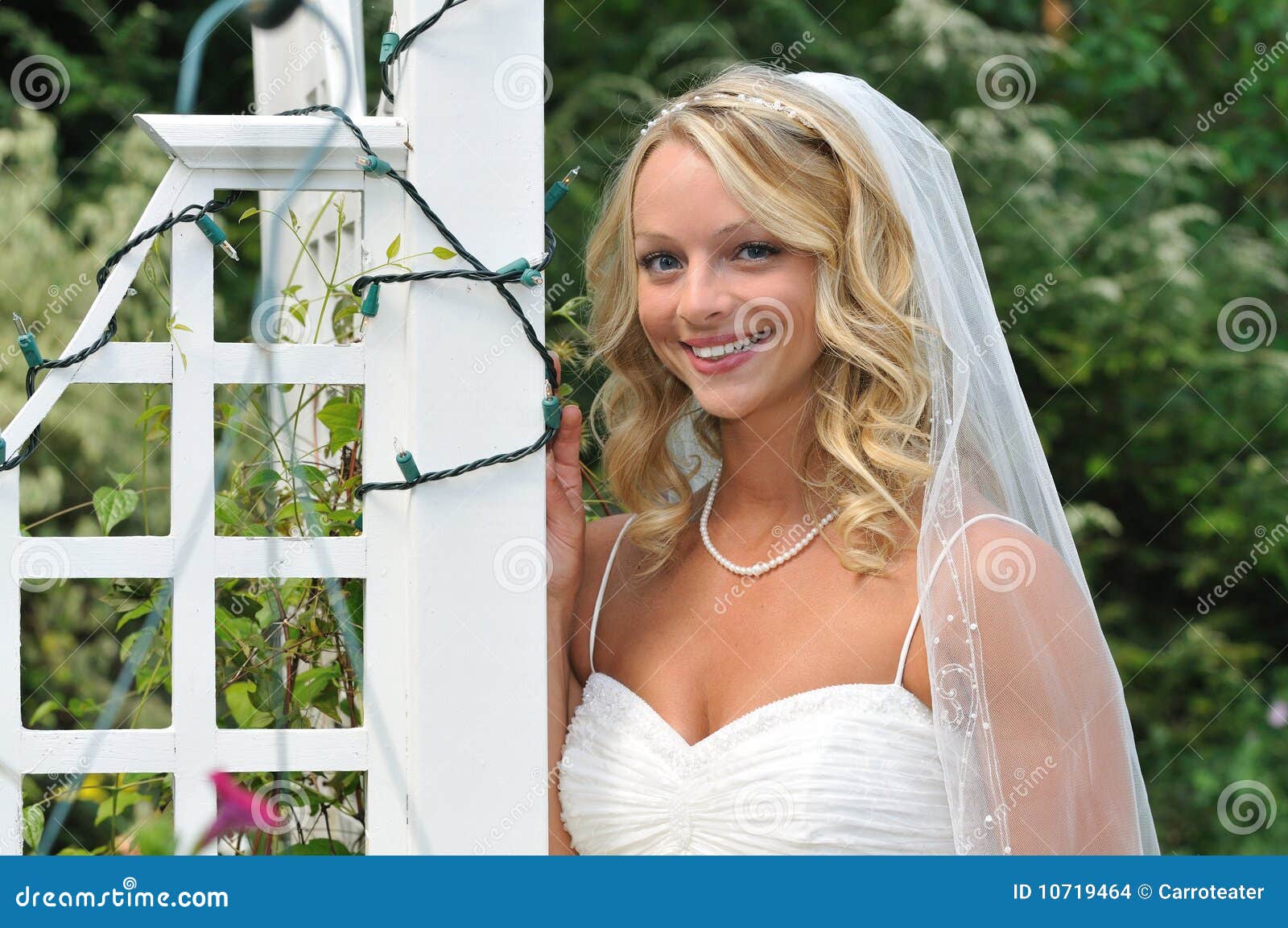 Wedding day stock photo. Image of attractive, adult, cheerful - 10719464
