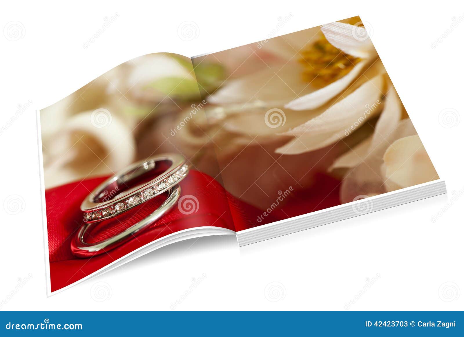 Wedding day book stock image. Image of ceremony, married - 42423703