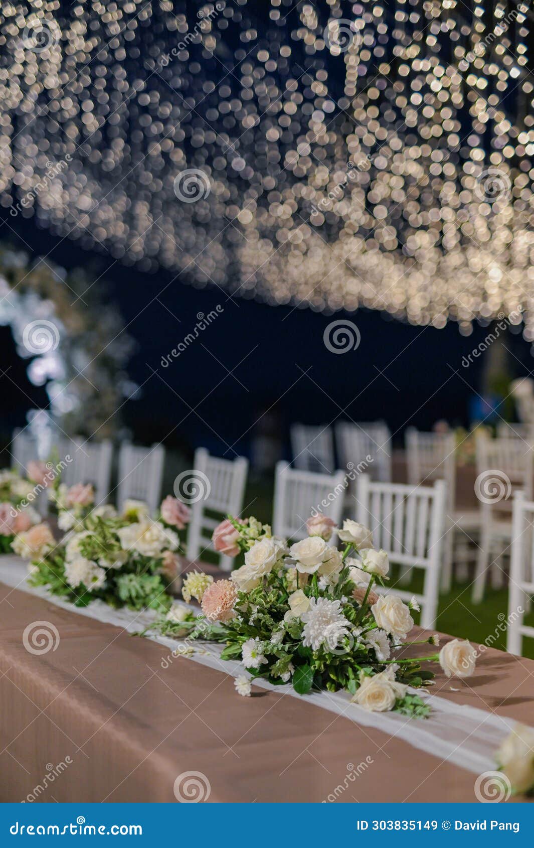 Wedding Decoration Fairy Theme with Starlight Lamp Stock Image - Image ...