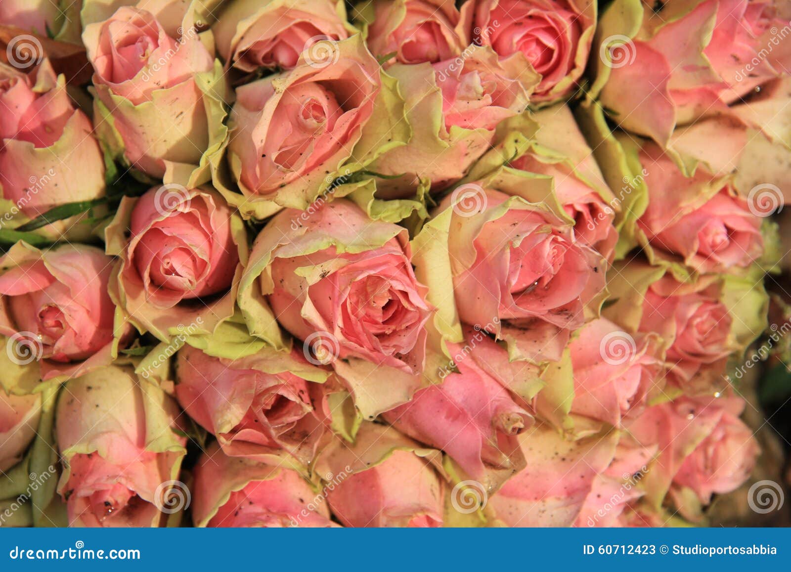 Wedding Decorations with Pink Roses Stock Image - Image of wedding ...