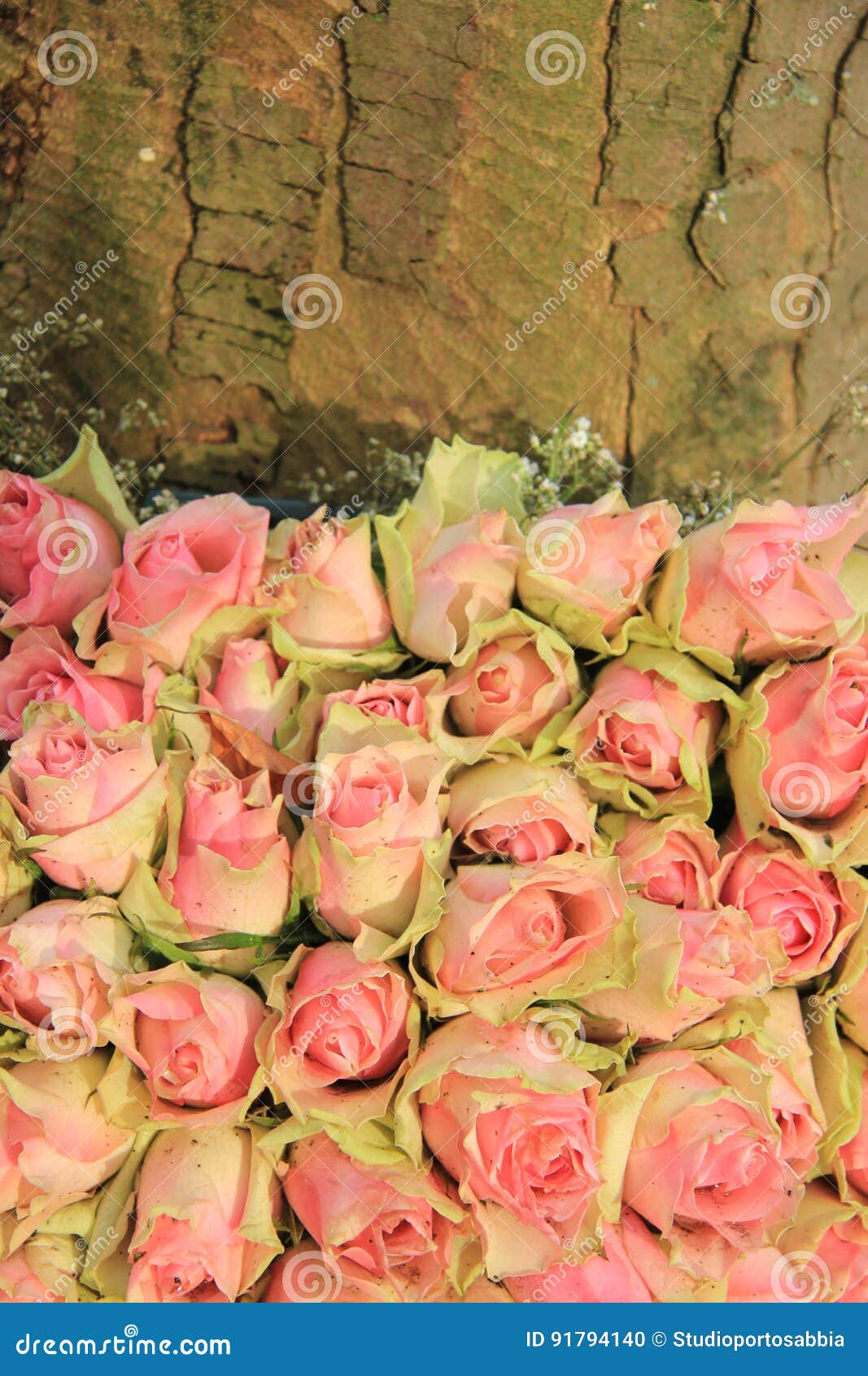 Wedding Decorations with Pink Roses Stock Photo - Image of petal ...