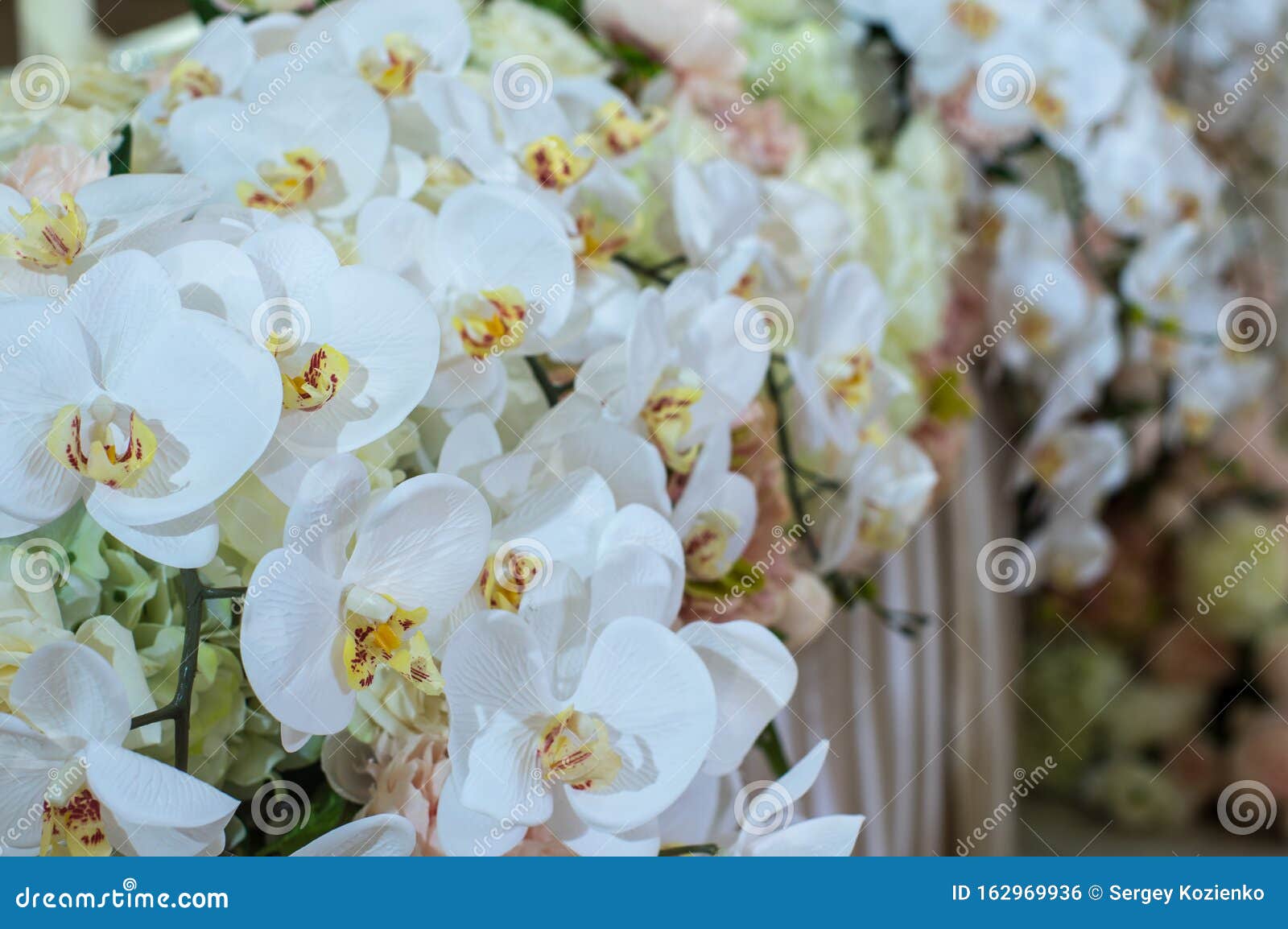 Wedding Decorations with White Roses Stock Photo - Image of beautiful ...