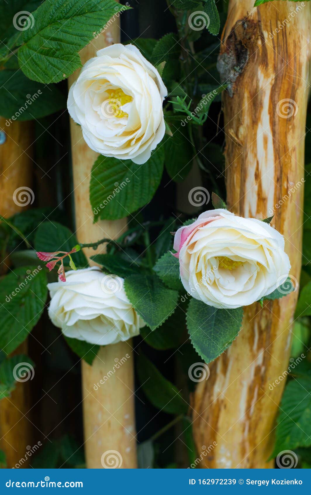 Wedding Decorations with White Roses Stock Image - Image of floral ...