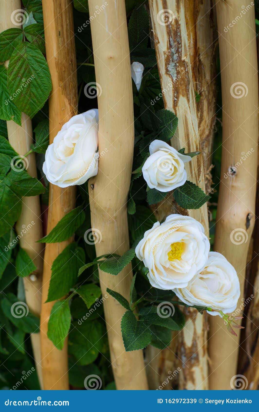 Wedding Decorations with White Roses Stock Image - Image of ceremony ...